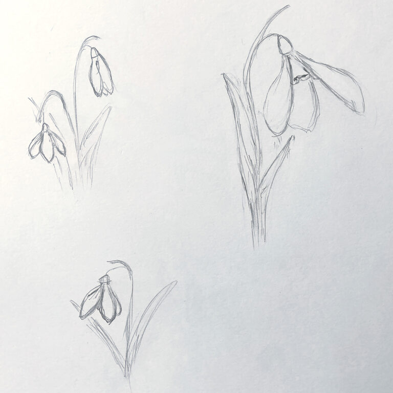 White flowers study - painting without colour - Anderida Art